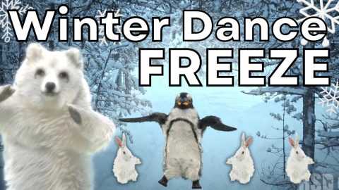 RSD Online: Winter Dance Freeze - Brain Break Movement Workout Game ...